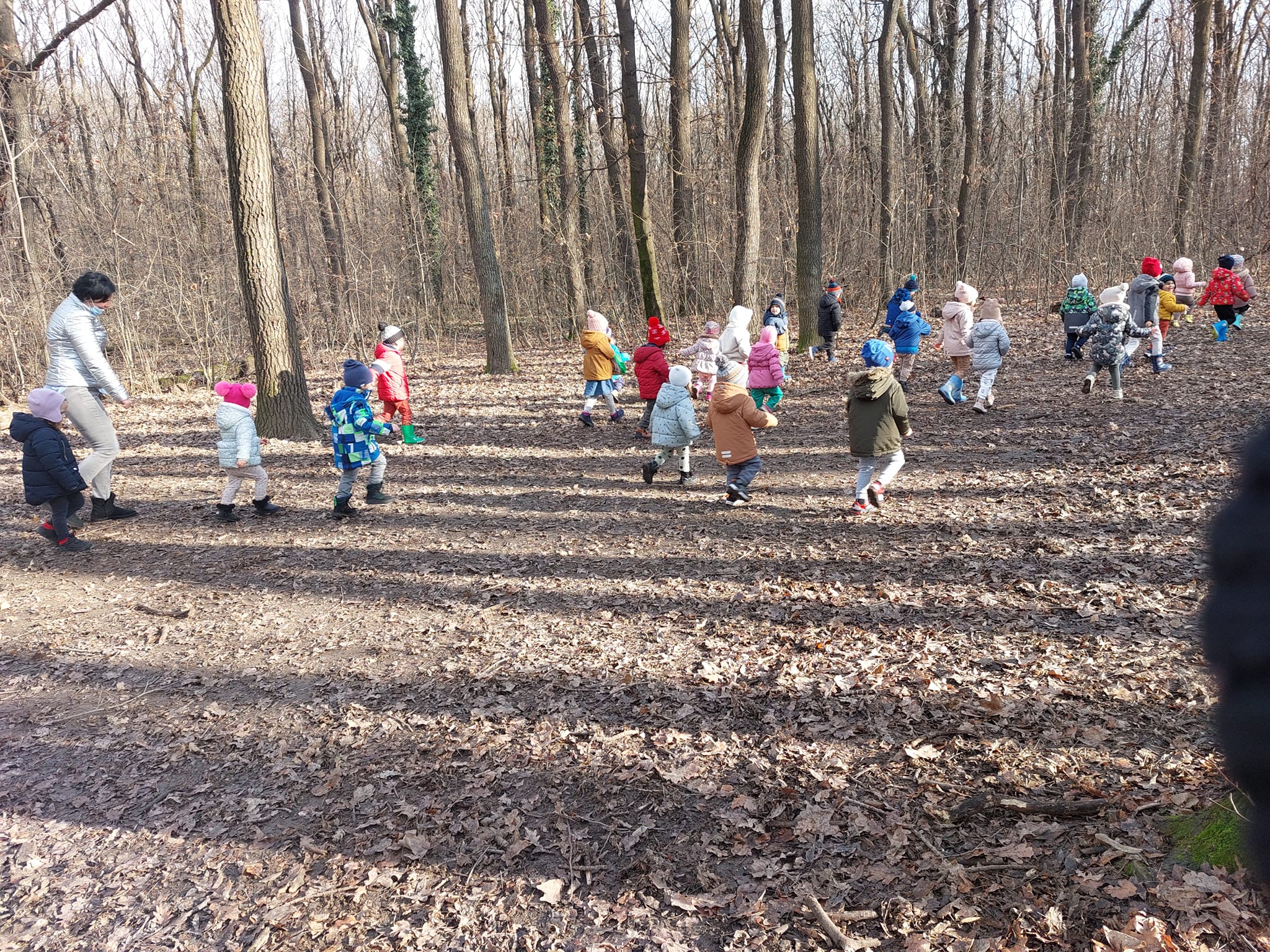 gradinita-copii-padure - Grădiniţa Sfântul Stelian - Asociaţia pentru ...
